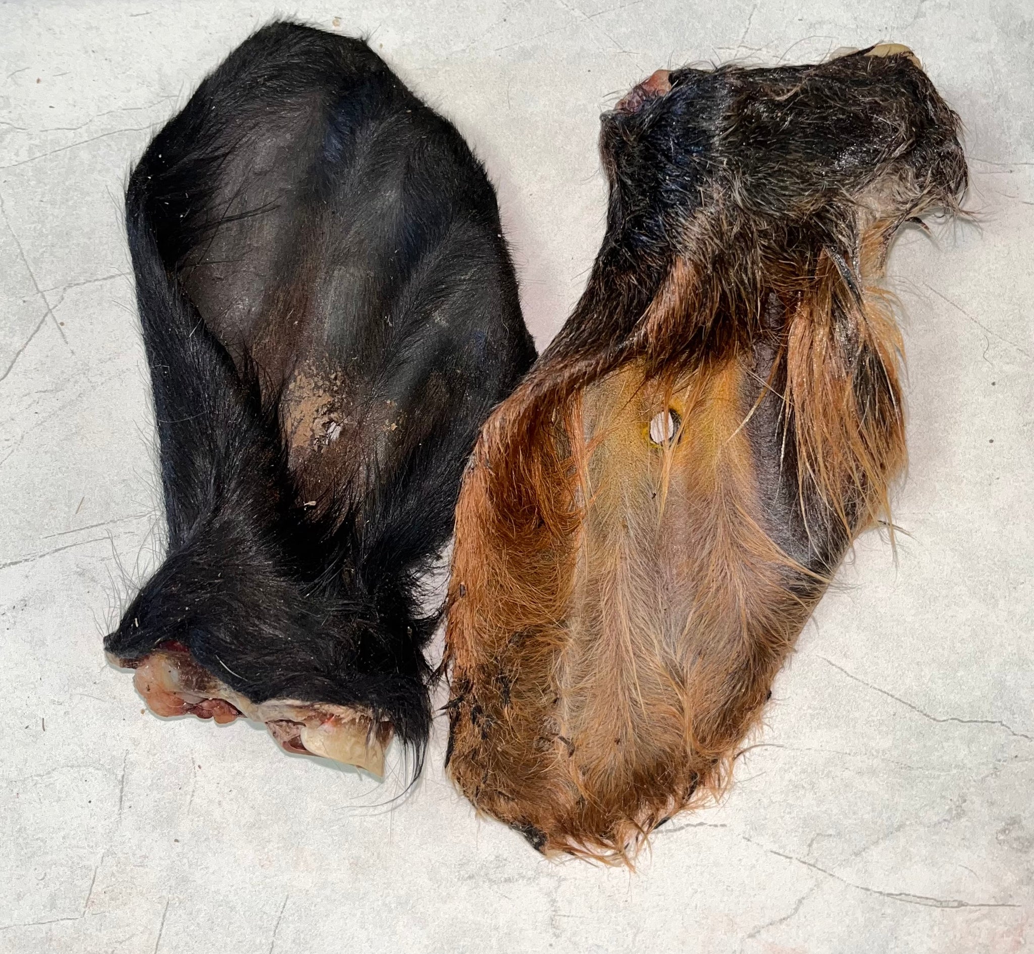 Beef Ears – Heronview Raw and Natural