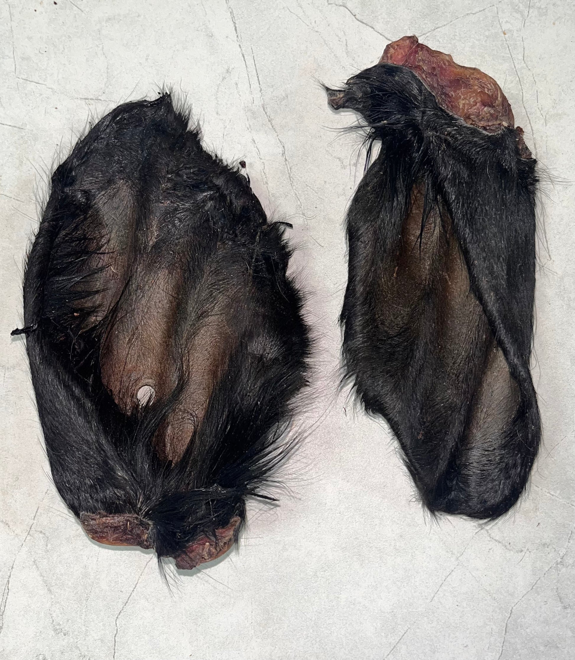 Dehydrated Beef Ears – Heronview Raw and Natural