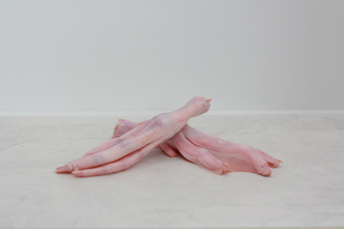 Duck Feet – Heronview Raw and Natural