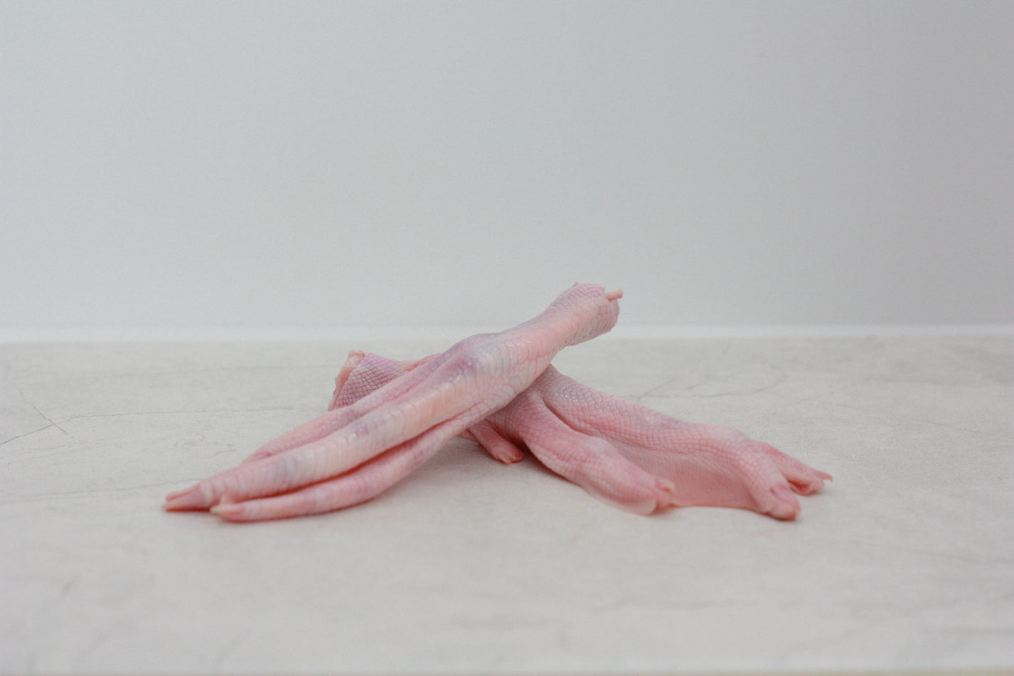 Duck Feet – Heronview Raw and Natural